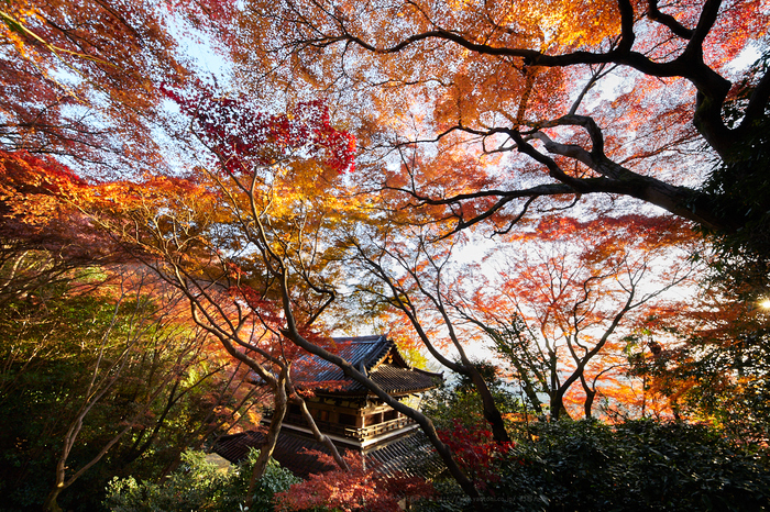 お写ん歩: SIGMA 12-24mm F4 DG HSM Artアーカイブ お写ん歩: SIGMA 12-24mm F4 DG HSM Artアーカイブ